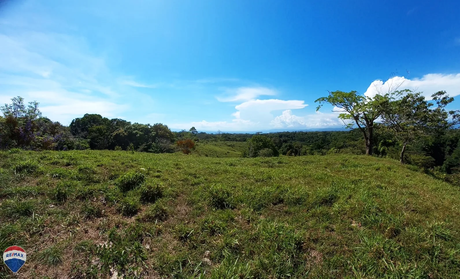 Ocean View Farm