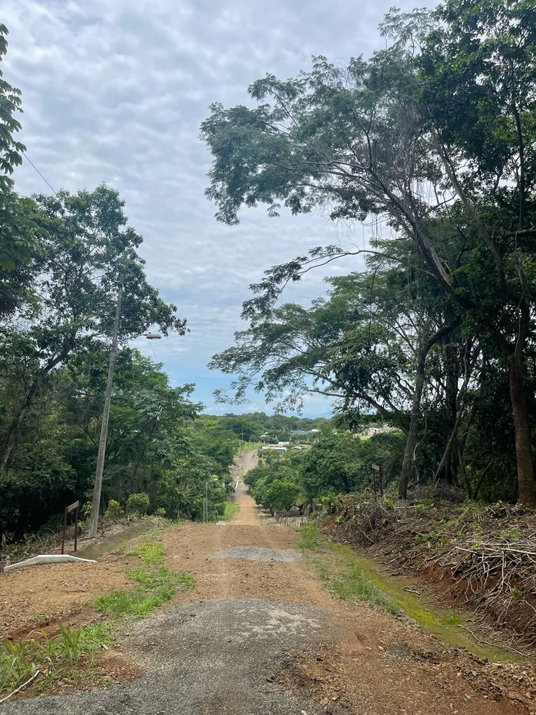 Lots │ Lagunillas │ $30 x m2 | RE/MAX Costa Rica Real Estate