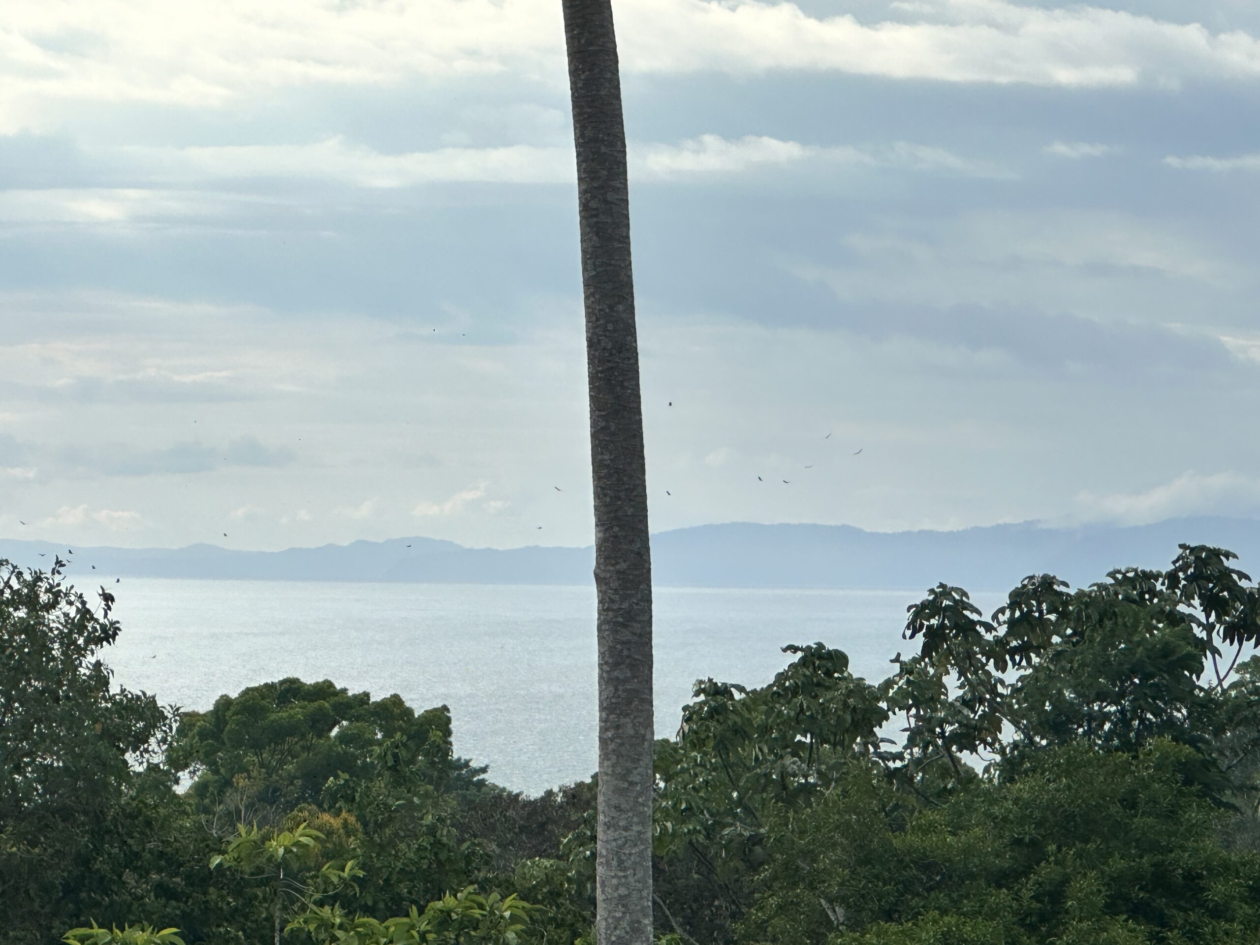 10 Acre Oceanview Pilon Property