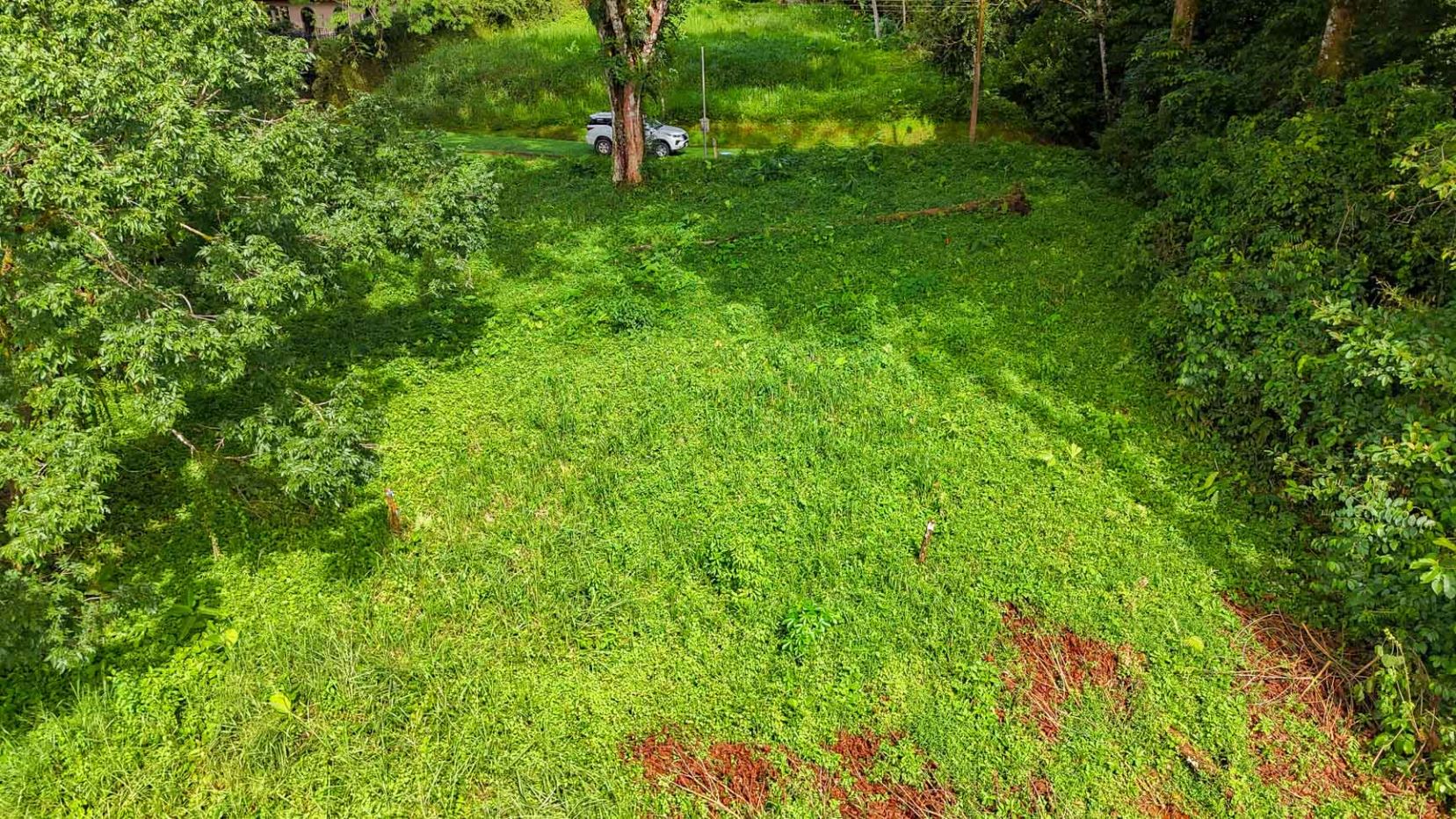 Private Jungle-Border Lot in Ojochal – Ready-to-Build, Gated Community ...