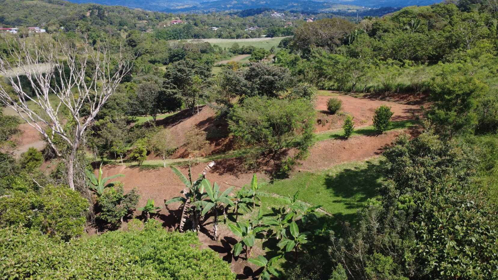 Sustainable Lot For Sale in the privacy of Perez Zeledon, Rosario De ...