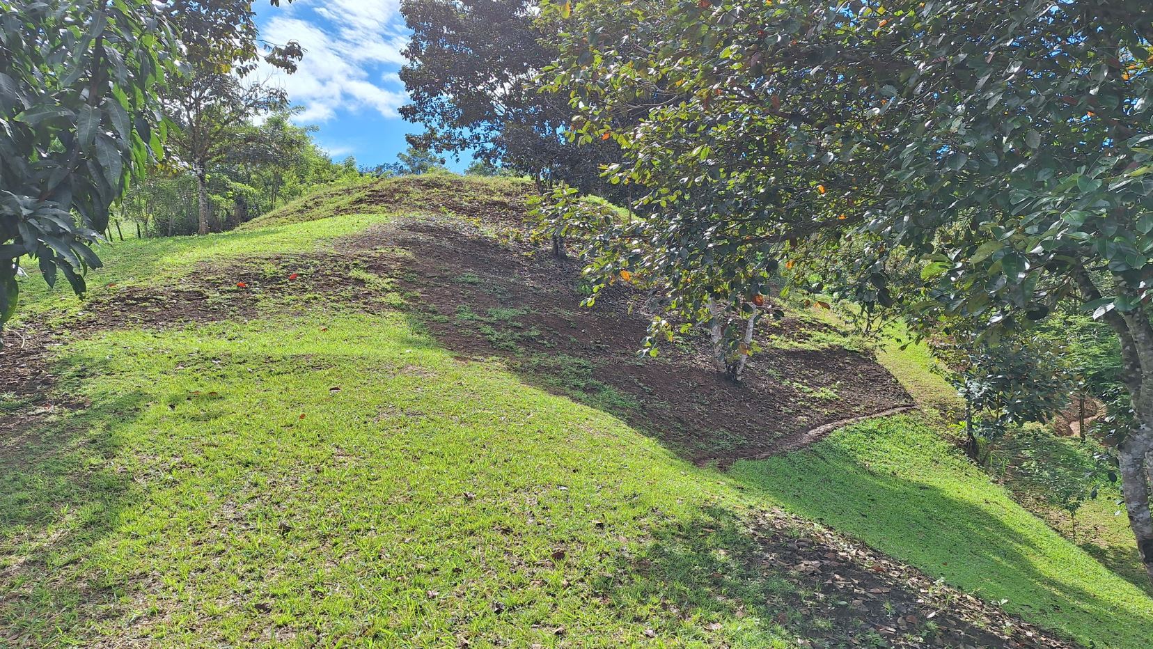 Sustainable Lot For Sale in the privacy of Perez Zeledon, Rosario De ...