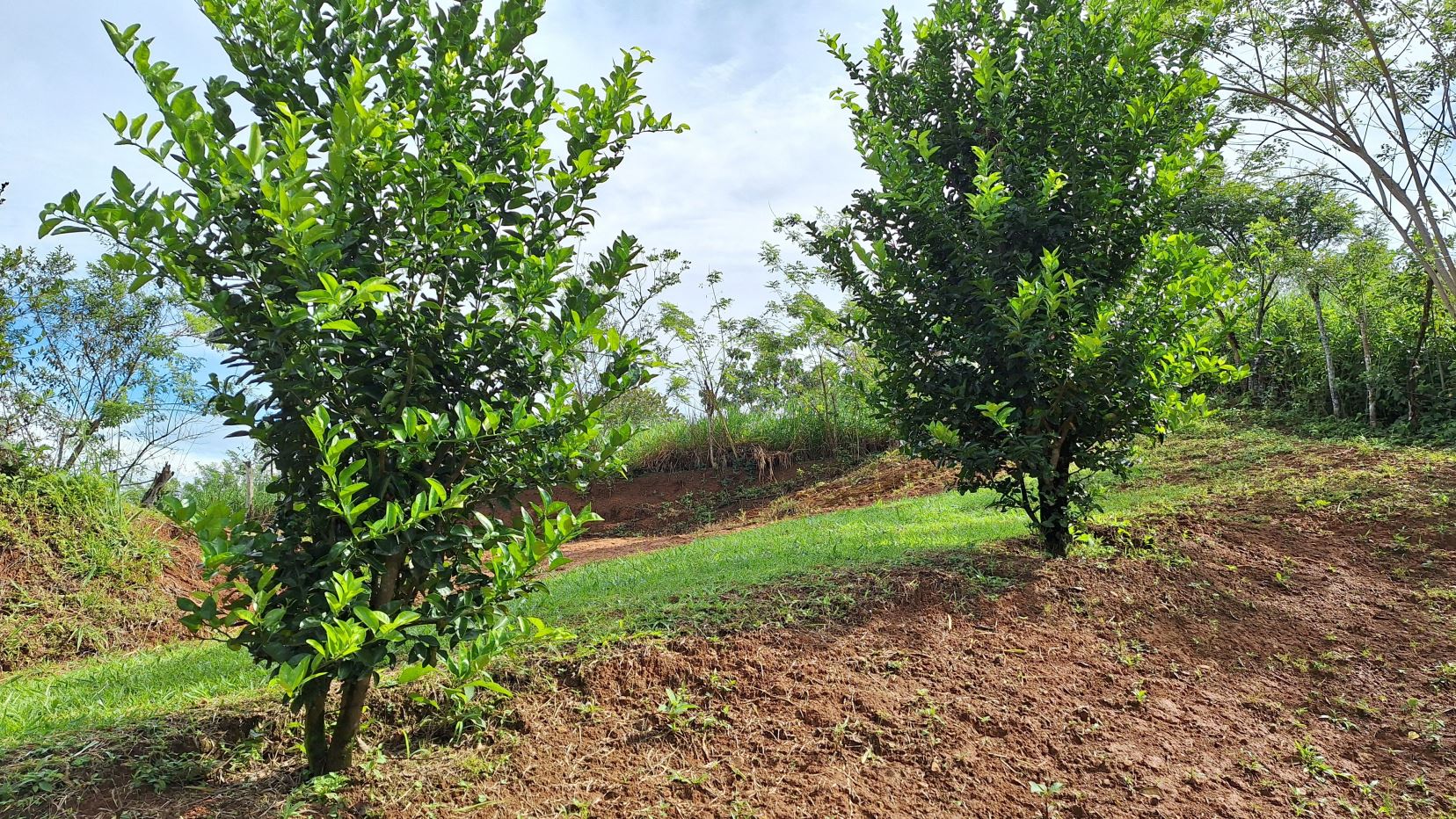 Sustainable Lot For Sale in the privacy of Perez Zeledon, Rosario De ...